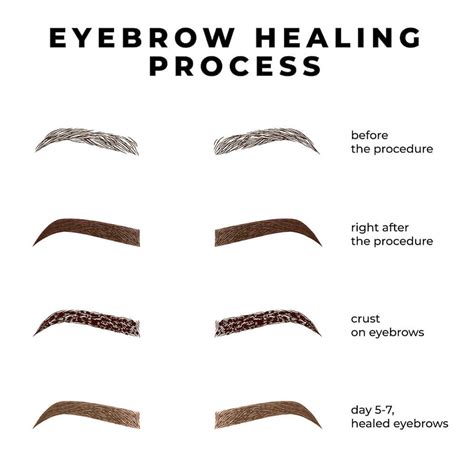 Microblading Healing Process What To Expect The Daily Glimmer