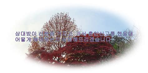 혼인무효확인 소송하는 방법 절차 상담 상대방이 몰래 신분증을 가지고 혼자 구청에 가서 혼인신고를 한것을 알게 되었을때 법원에 소장접수 송달 재판진행 판결받아 혼인