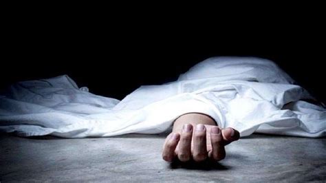 جنايات الغربية تسدل الستار على قضية قاتــل زوجته بكفر الزيات الموجز