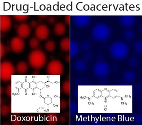 Peptide Based Supramolecular Systems Chembiochem Chemistry Europe
