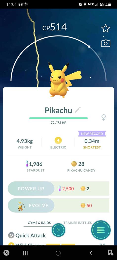 Why Does My Pikachus Tail Look Like This I Evolved Him From A Pichu