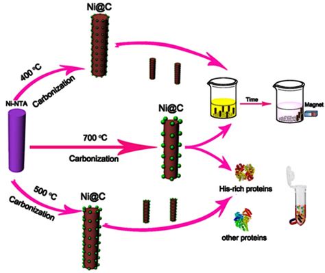 Facile Synthesis Of Mof‐derived One‐dimensional Nitrogen‐doped Carbonni Composites And Their