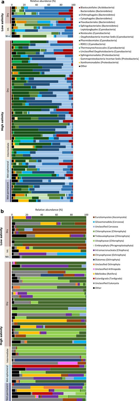 Extremophile Hypolithic Communities In The Vestfold Hills East