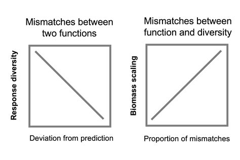 4 Insights Into Perturbations — Mismatches Between Community Properties
