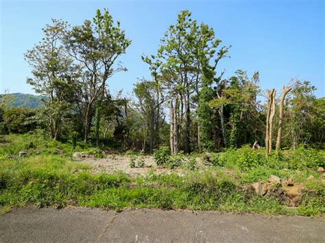 5783：南道路で陽当り良好な土地売買土地450万円伊豆・熱海 川奈・富戸・城ヶ崎｜別荘リゾートネット