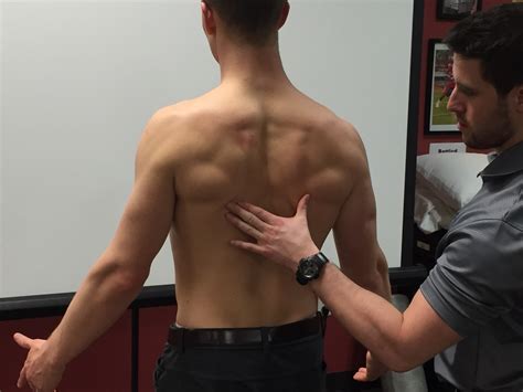 Thoracic Spine