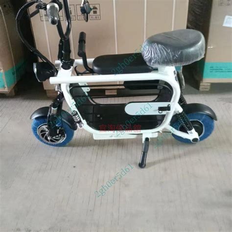 「可開發票」一迪網紅親子帶娃電動車小型男女士迷你帶寵物遛狗輕便代步電瓶車 蝦皮購物