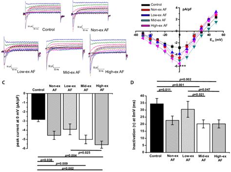 L Type Ca 2 Currents In Atrial Myocytes A Representative Recordings