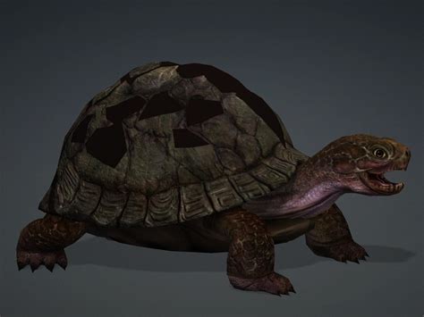 A Professional 3d Realistic Character Animation Video Upwork