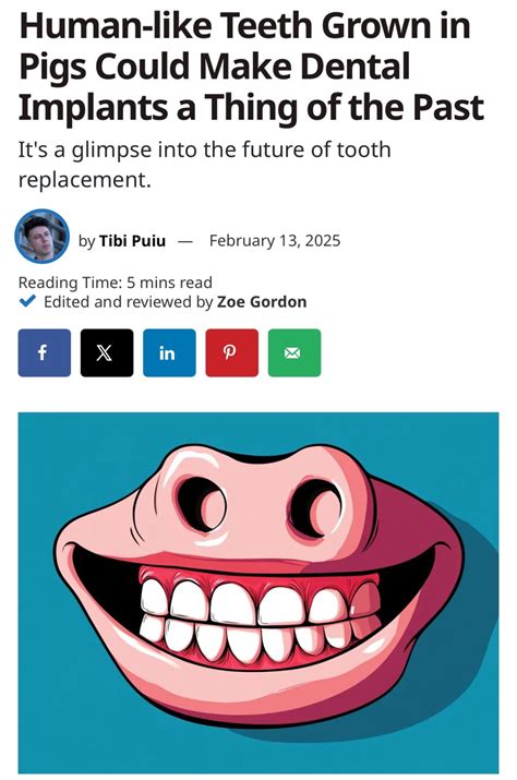 Researchers Have Successfully Grown Bioengineered Teeth In Pigs Using A