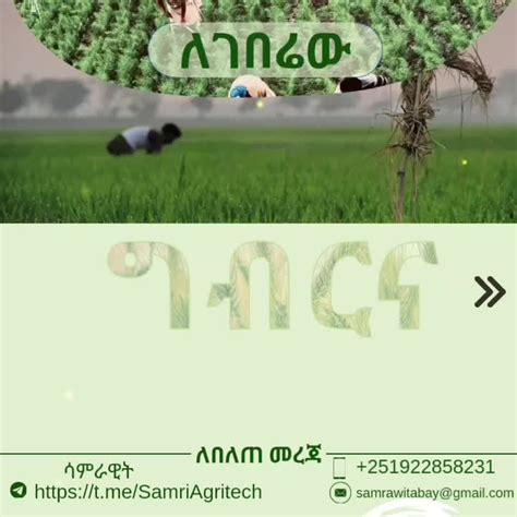 Samrawit Kasse On Linkedin 🌾ስለግብርና ማወቅ እና መማማር የሚፈልግ እንደኔ🤔 በሁሉም መድረኮች