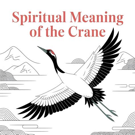 12 Spiritual Meaning Of The Crane Mystical Symbolism