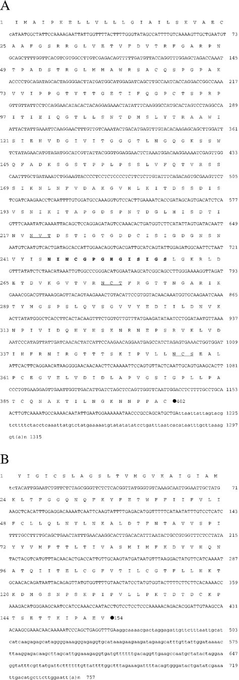 A B Nts1 And Nts2 Cdna Nucleotide Sequences And Amino Acid Sequences Download Scientific