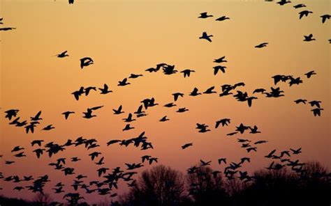 What Is Database Migration