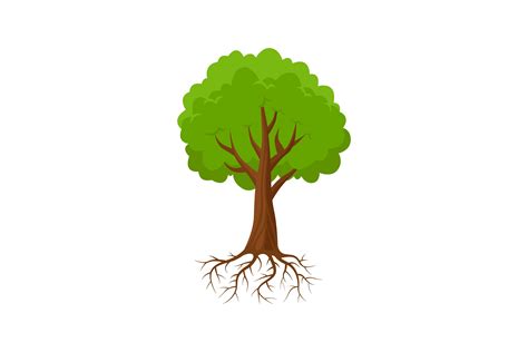 Plant Growing Tree Vector Illustration Graphic By Pchvector