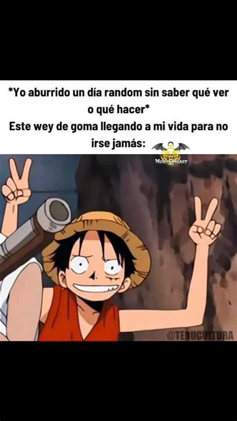 Trafalgardfer Ambos Queremos Ambos Uwu Onepiecememes Onepieceedits