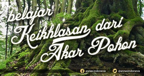 Kata Kata Untuk Pohon Ilmu