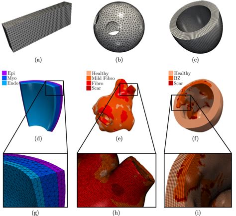 Domains And Meshes Used In The Numerical Examples Domains In The Top