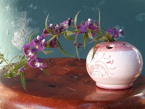 Solve Single Short Stem In Tiny Vase Value Ive Been On A