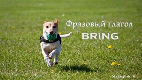 Фразовый глагол Bring формы глагола использование с предлогами Up