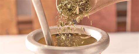 Yerba Mate For Skin Science Behind Infuse Skin
