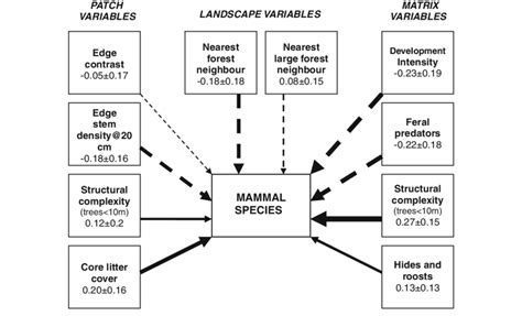 model averaged parameter estimates and their unconditional standard