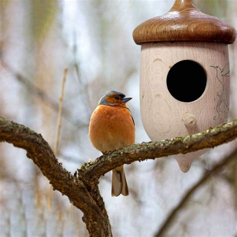 Cvlncycling Clearance Bird Feeder Squirrel Proofbird House Bird Feeder