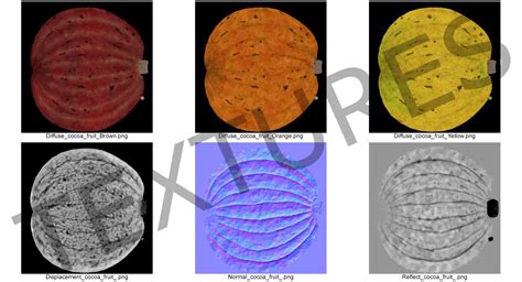 Cocoa Fruits Set 3d Model 39 3ds Blend C4d Fbx Ma Obj Max Free3d