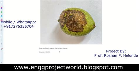 Walnut Disease Detection Using Image Processing Python Project With Source Code Final Year