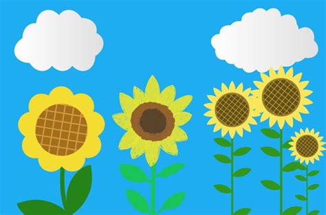 ひまわりイラスト フリーで使える可愛い向日葵素材 チコデザ 向日葵 イラスト ひまわりの壁紙 ひまわり