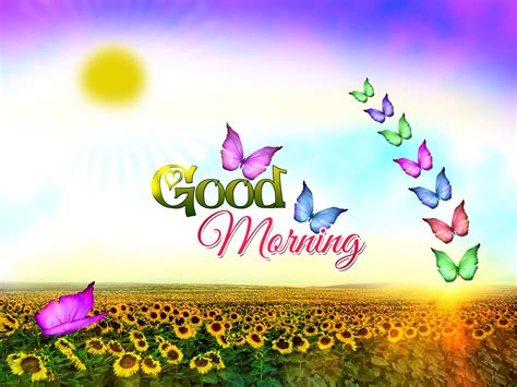 Hd Widescreen Nature Backgrounds