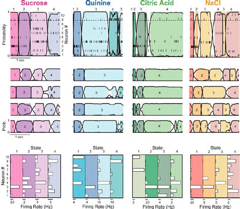 Neurons In The Rats Gustatory Cortex Generate A Taste Specific