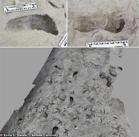 Archaeology And Civilizations 1 5 Million Year Old Footprints Reveal