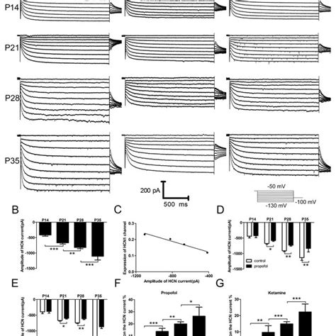 The Credit Assignment Problem In Multi Layer Neural Networks A