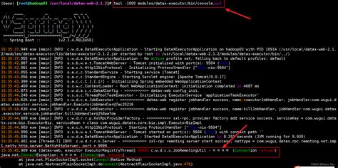 大数据 Datax Web 详细安装教程datax Web Csdn博客