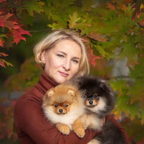 Померанский шпиц Pomeranian Live Threads Say More