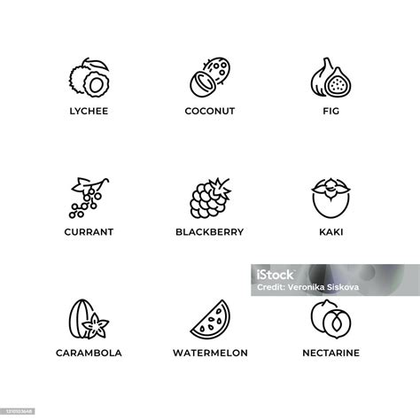 디자인 요소 로고 디자인 템플릿 과일을 위한 아이콘 및 배지의 벡터 집합입니다 아이콘에 대한 스톡 벡터 아트 및 기타 이미지 아이콘 리치 스타프룻 Istock
