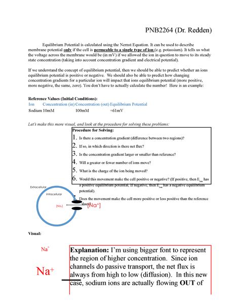 Equilibrium Potential Procedure For Solving 1 Is There A Concentration Gradient Difference