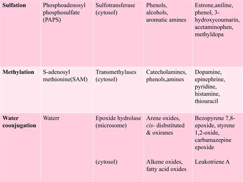 Biotransformation Of Drugs Pptx