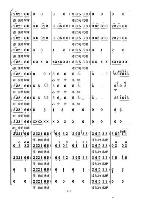 九妹 民乐合奏 华韵乐团 总谱 五线谱