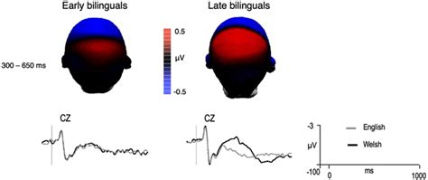 Difference Voltage Maps Representing The 300650 Ms Language Effect