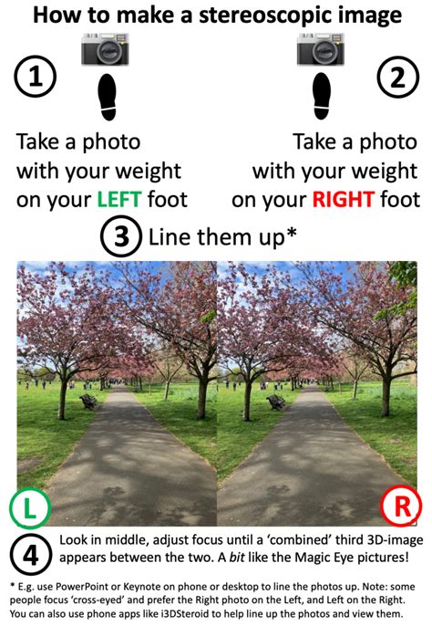 Stereoscopy A Fun Activity To Do At Home Or In The Classroom
