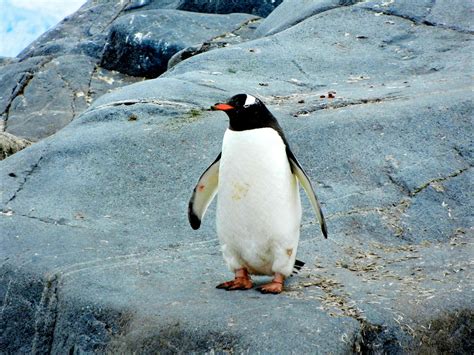 Linux Kernel 612 Real Time Capabilities Hardware Boosts And More