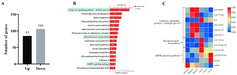Degs Between The Rnai And Con Groups A Up And Down Regulated Degs In
