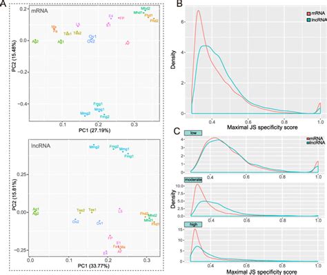 Discrete Expression Pattern And Tissue Specificity Of Lncrnas In C