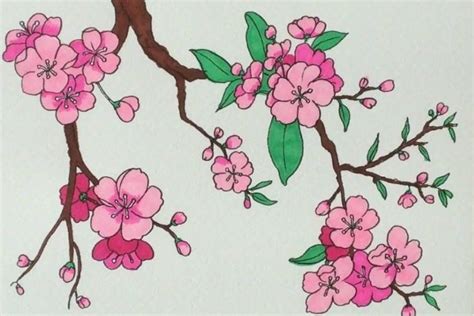 20 Ý Tưởng Vẽ Tranh Tết Đơn Giản Và Đẹp Mắt
