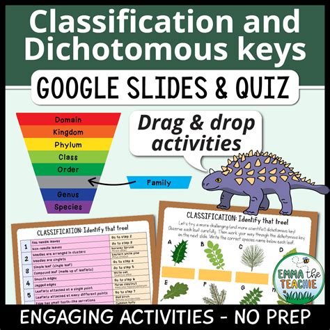 Classification Dichotomous Keys Google Slides Activities