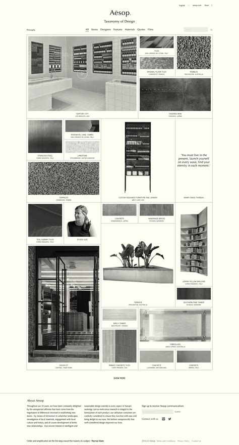 Taxonomy Of Design Website Design Lapa Ninja