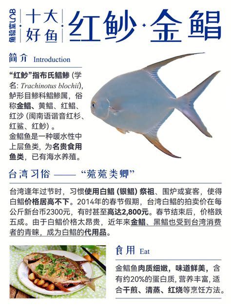 台湾十大美味海鱼榜上你吃过多少 哔哩哔哩