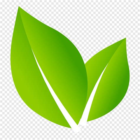 Logo Naturaleza Hoja Diseño Hierba Logo Abc Png Pngegg